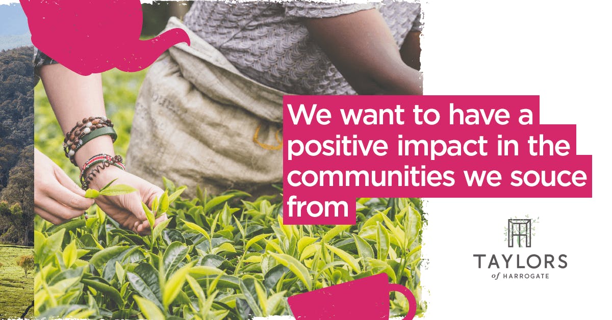 Climate change | Taylors Impact